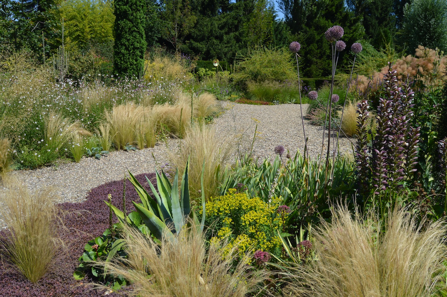 Noel's Garden Blog: Peter Janke - plantsman AND designer