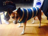 Sweet Nothings Crochet: ALL FOR MAYA, OUR “DINGO” - A COAT & A CLEAN-UP BAG