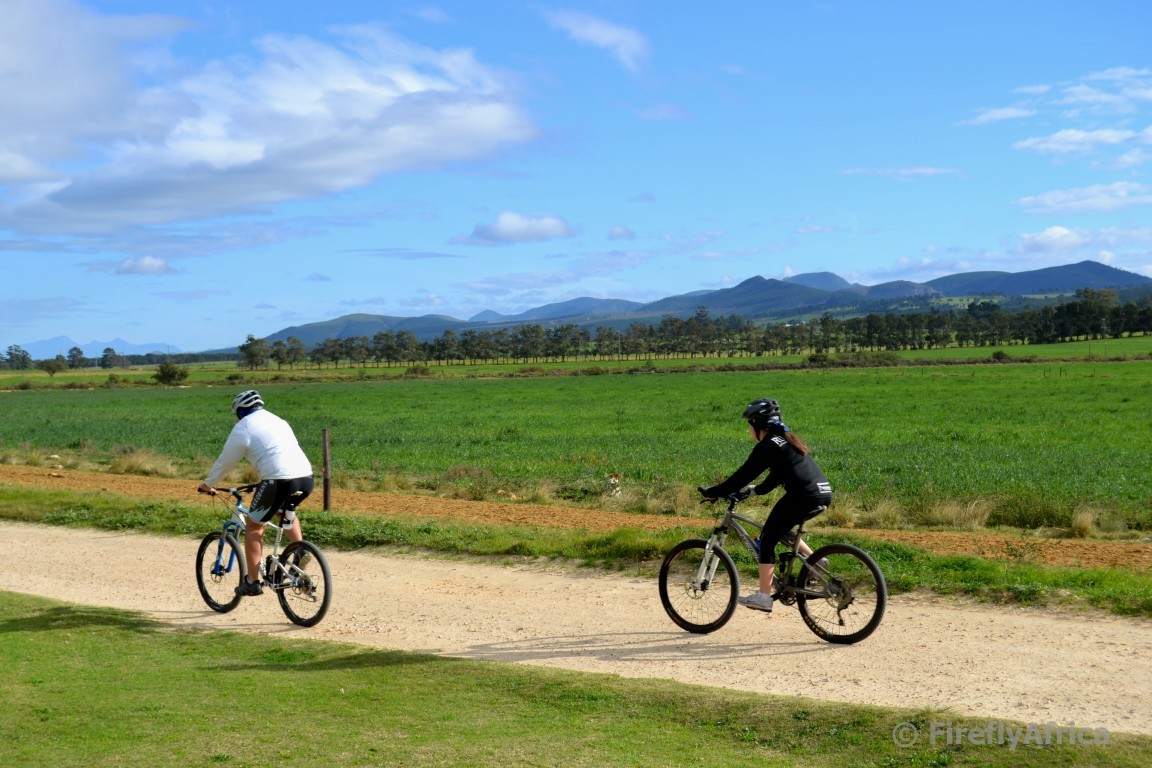 Port Elizabeth Daily Photo: Mountain biking at Crossways