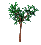 hareketli resimler: Hareketli Ağaç Gif ve Resimleri