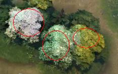 Dota 2 tips dan trick cara menggunakan tango - Dunia Gamer