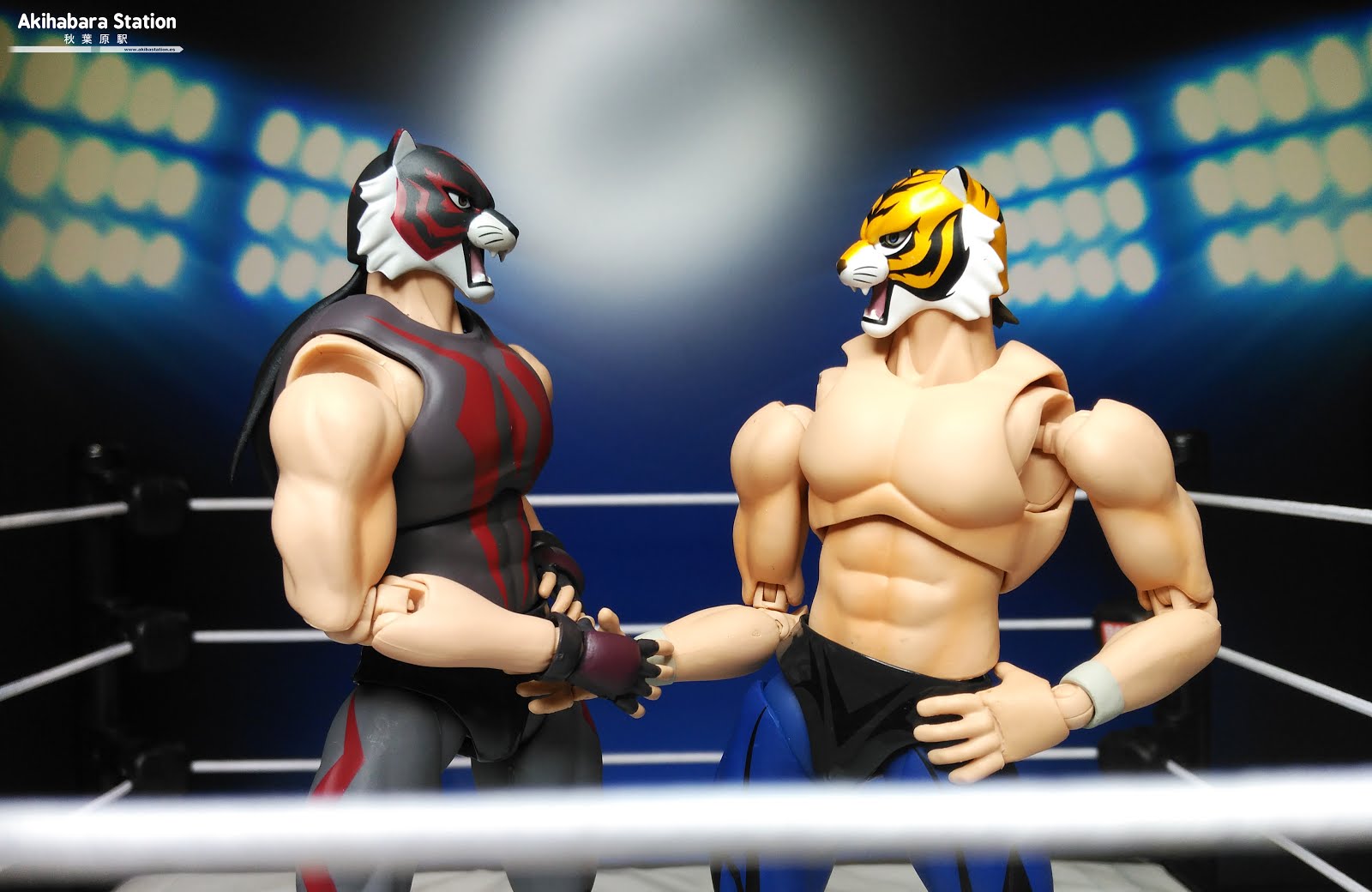 Figuras: Review de los S.H.Figuarts "Tiger Mask" y "Tiger the Dark ...