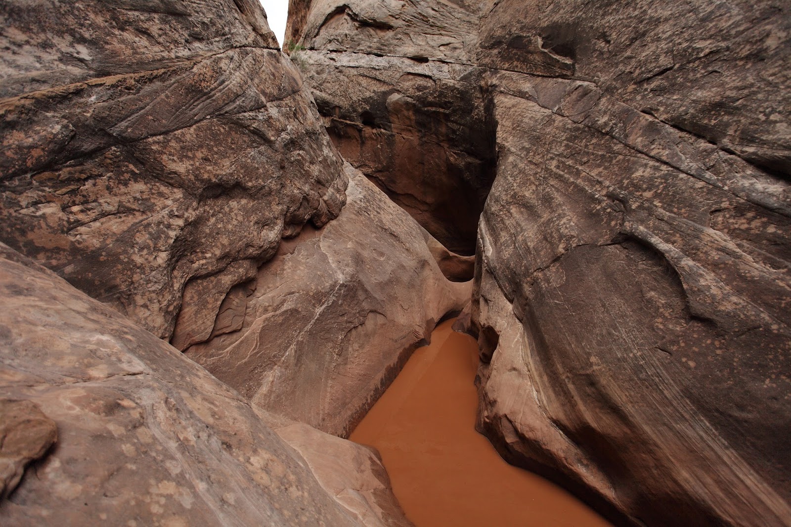 DING & DANG CANYONS - ADAM HAYDOCK