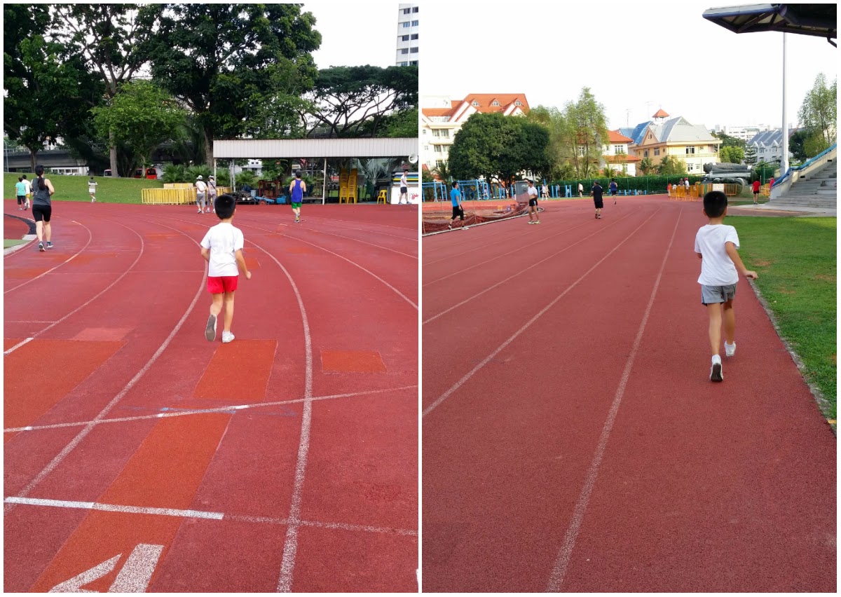 Run, Baby, Run! Training for NAPFA