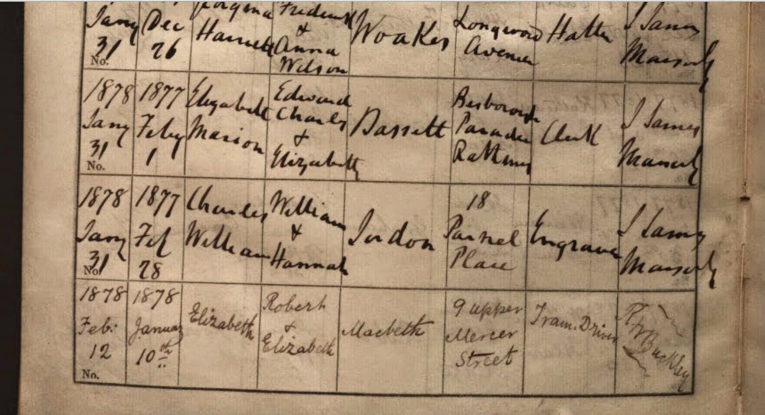 Patrick Comerford: A family tree that tells the story of ‘Smother’ star ...