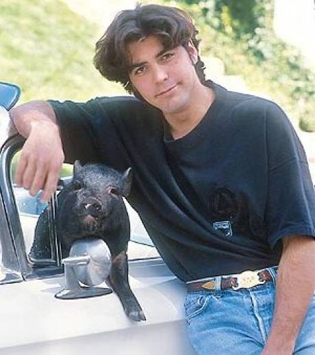 NOS PETITS FRERES LES ANIMAUX: George et Max clooney