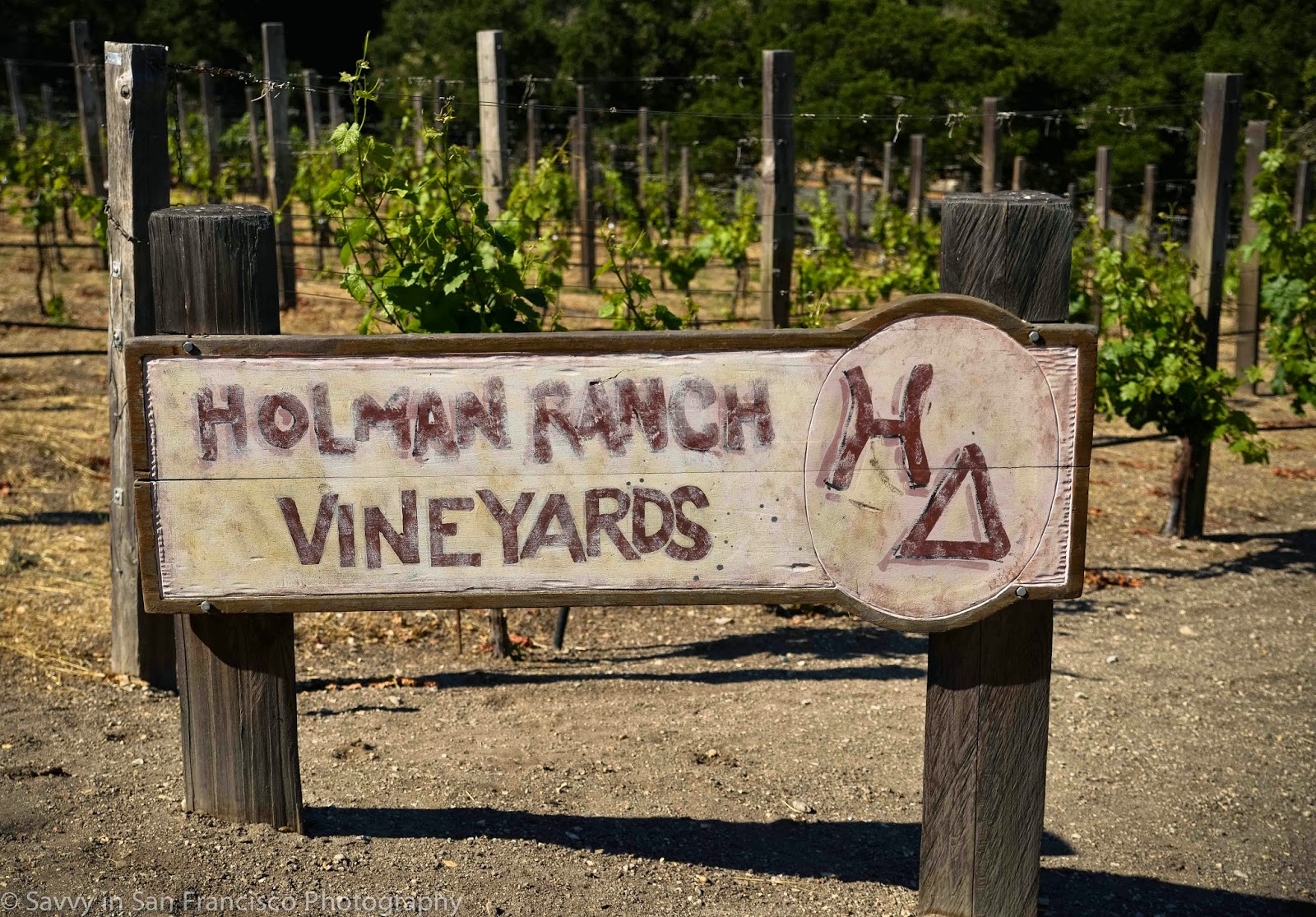 Savvy in San Francisco: Holman Ranch Vineyards - Carmel Valley