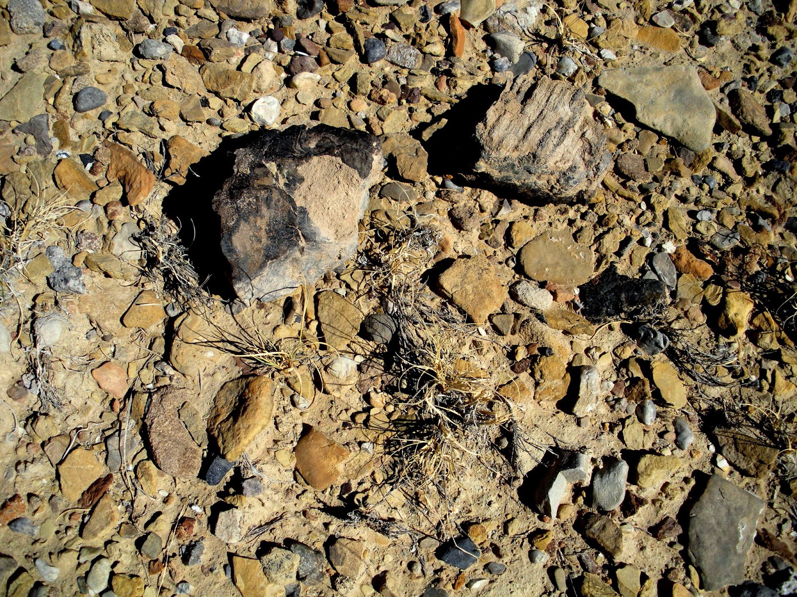 CSMS GEOLOGY POST: March 2014