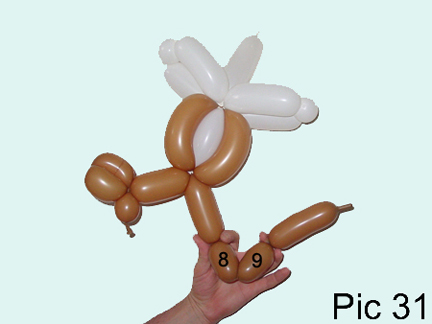 CLASSICAL: Balloon animal fat body