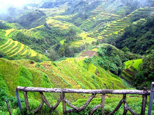 Banaue Rice Terraces | Tour Philippines