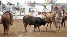 Charreria: Terna en el Ruedo