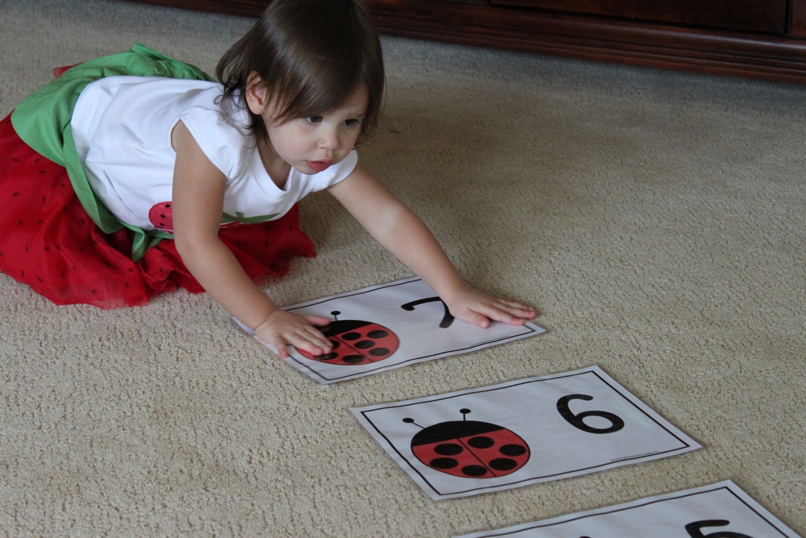 Playing House: Ladybug Counting (Printable)