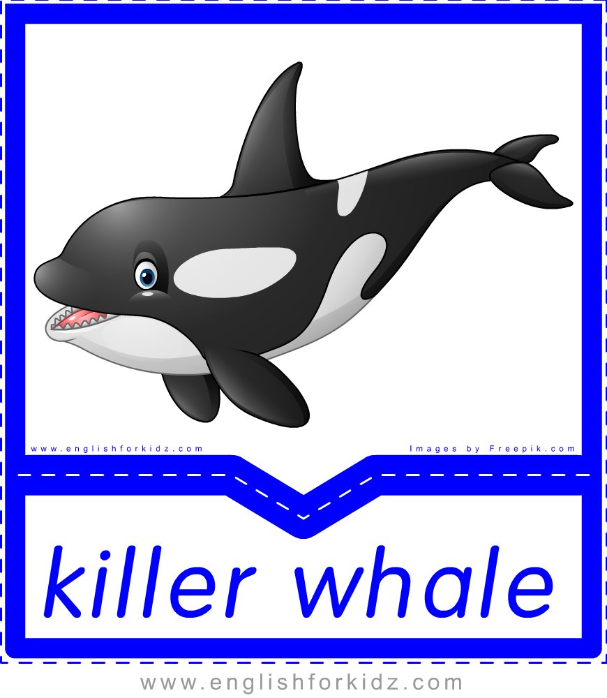 Printable Polar Animals Flashcards