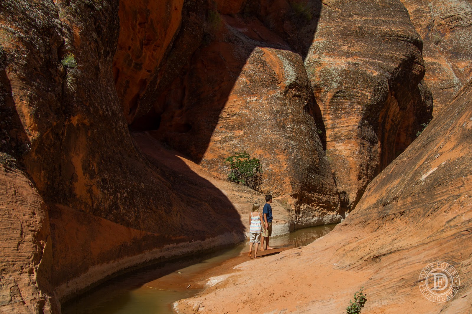 The Forney Flyer: Red Cliffs 1