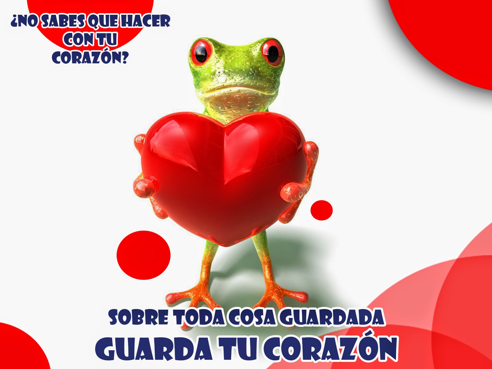 Guarda tu corazón | Imágenes Cristianas para Facebook