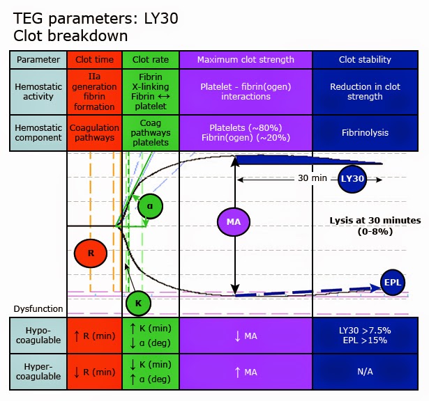 Manuali di Medicina: Tromboelastogramma - ROTEM (Capitolo 2.10a.3)
