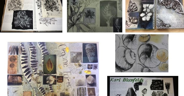 GCSE Art Blog: Homework - Double page spread in your sketchbook
