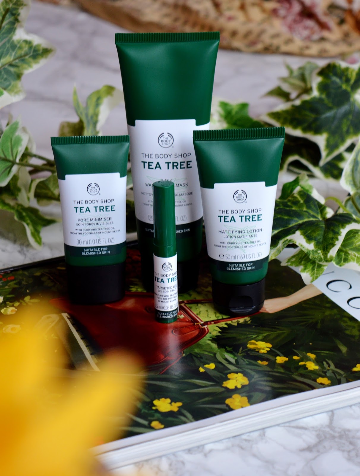 THE BODY SHOP TEA TREE RANGE REVIEW | The Perks Of Mollie Quirk