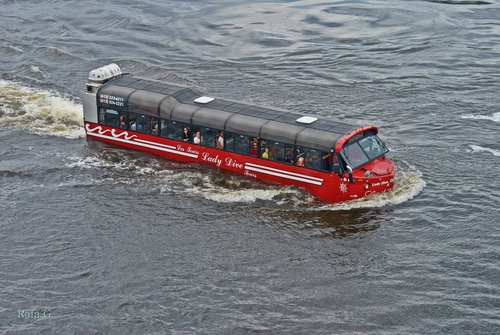 what will they think of next? why amphibious buses of course.
