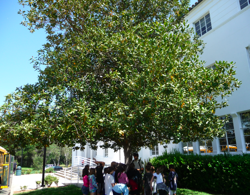 Mrs. Yollis' Classroom Blog: Field Trip Photos for Student Blogger Use