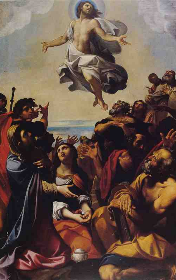 Spencer Alley: Contemporary Opinion about Ludovico Carracci