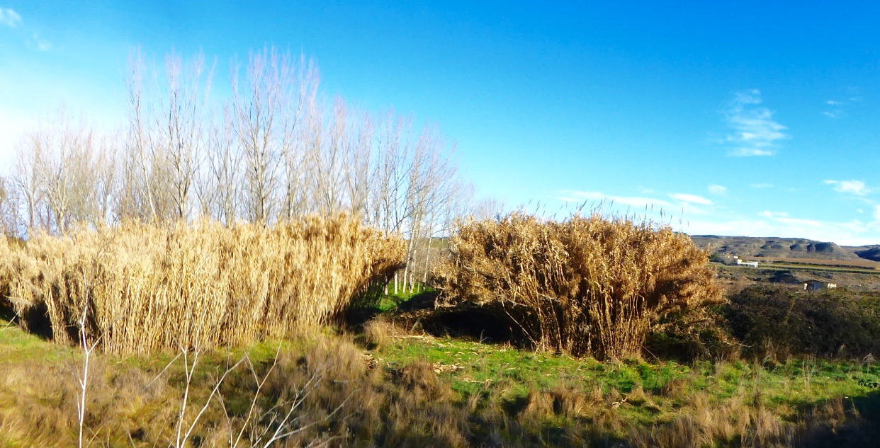Paseos de Ikandu.: Desembocadura del río Ega y "Yeseras" de Azagra.