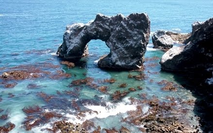 EXCURSIONES DE MARIO LOPEZ: Excursión Reserva Nacional San Fernando ...