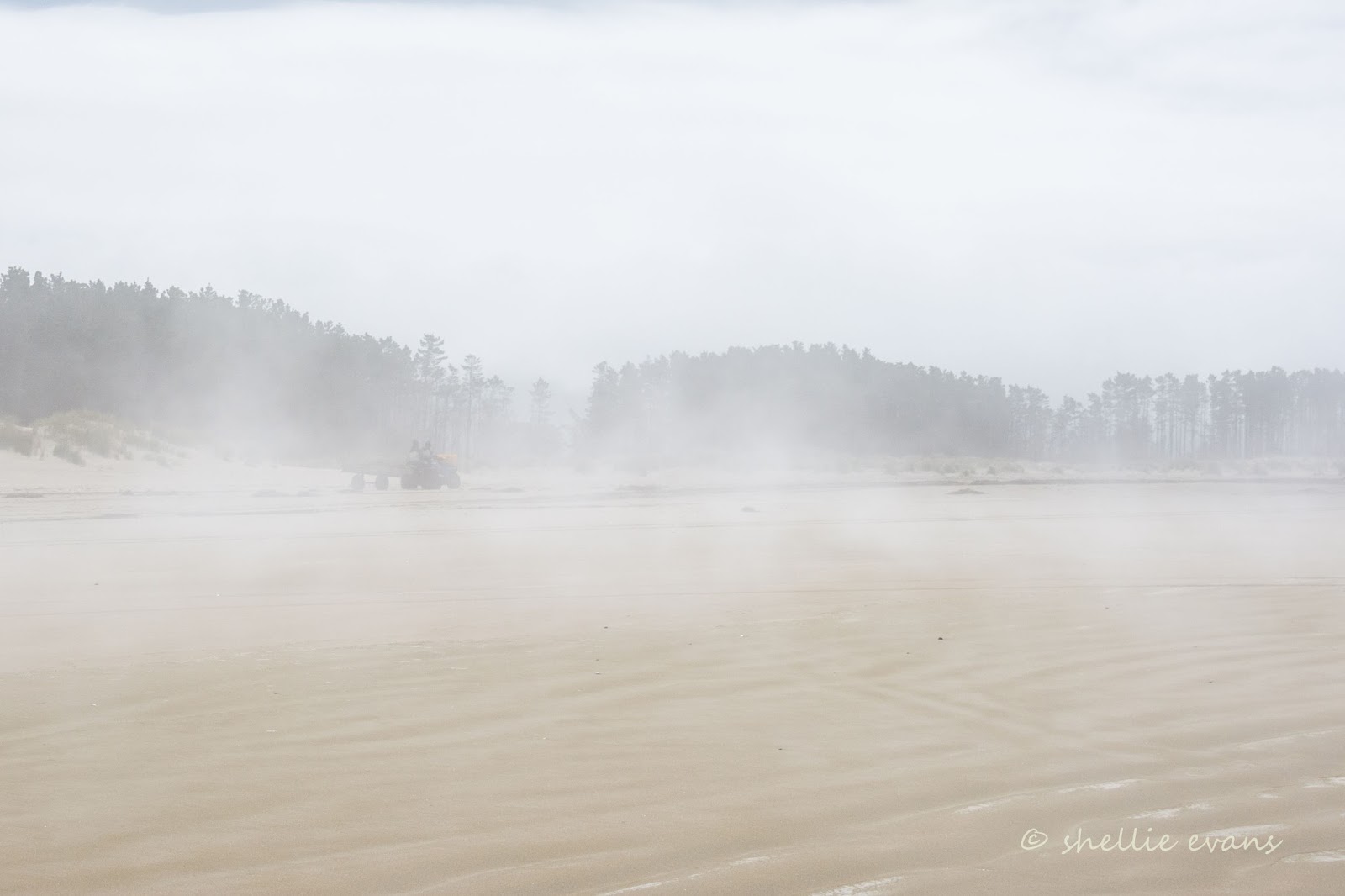 Two Go Tiki Touring: Beach Hop South- Te Paerahi Beach (aka Porangahau ...