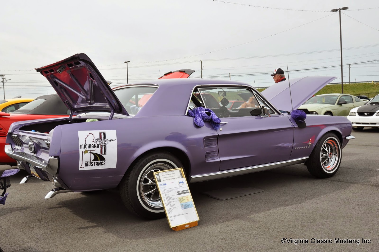 Virginia Classic Mustang Blog: 50th Anniversary Mustang Show at ...