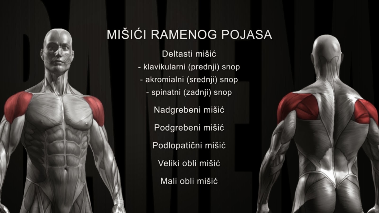 Kako uraditi 51 zgib u seriji