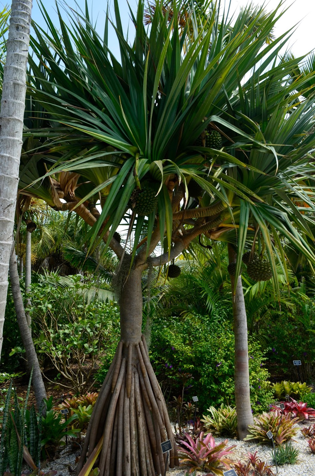 New Adventures - Moving... Visiting... going south : Part two Naples ...