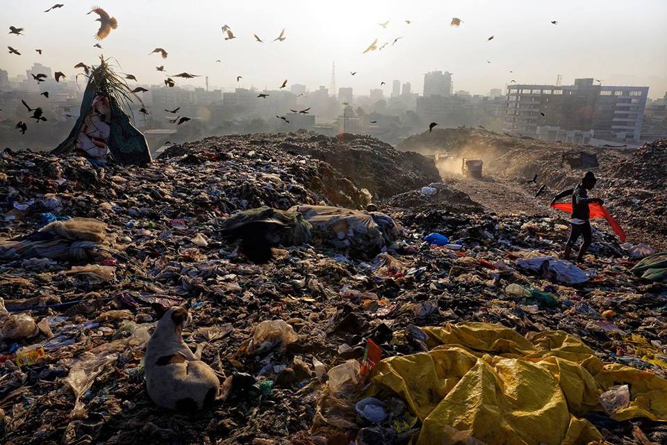 Putting Down Roots: Maren's List: Feb 20: The Plastic Apocalypse