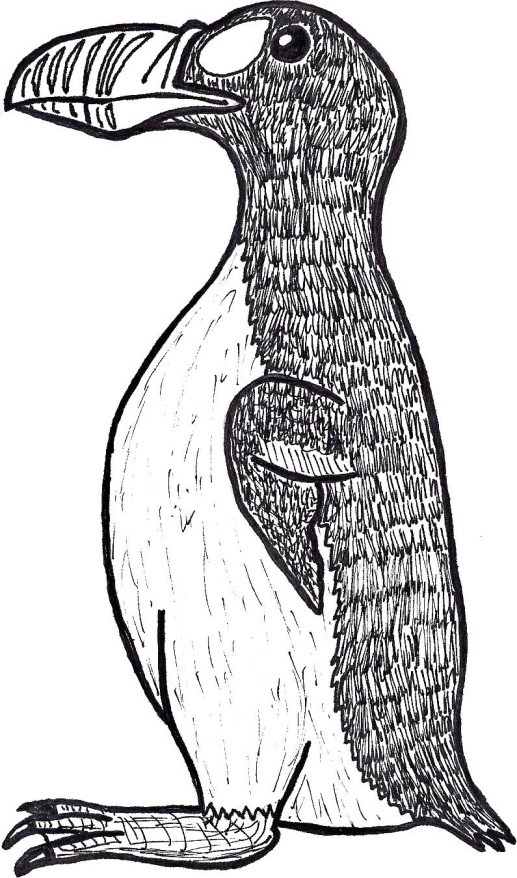 GREAT AUK