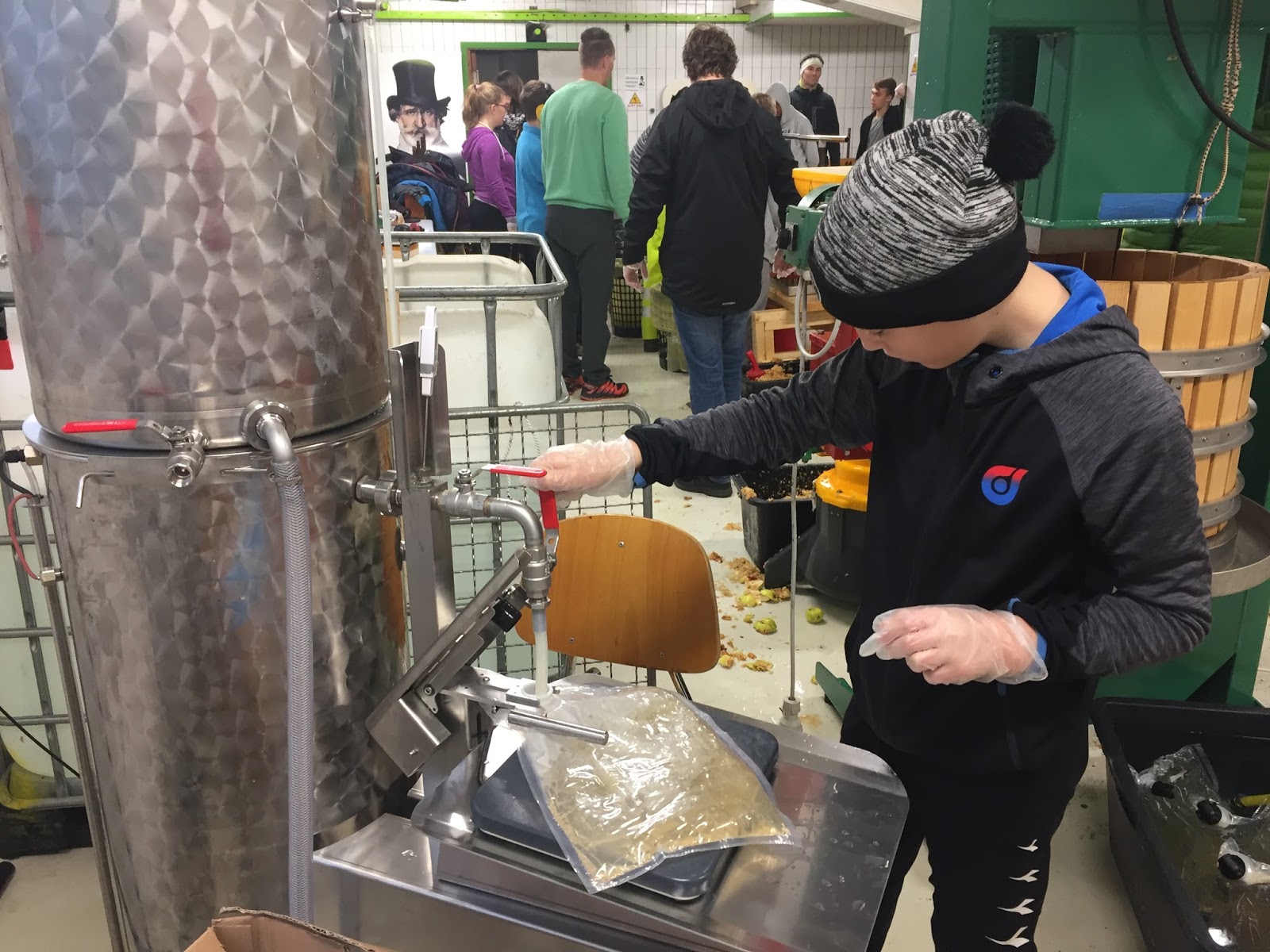 Apple harvesting and pressing