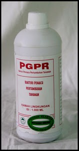 PGPR - JARPETO ORGANIK