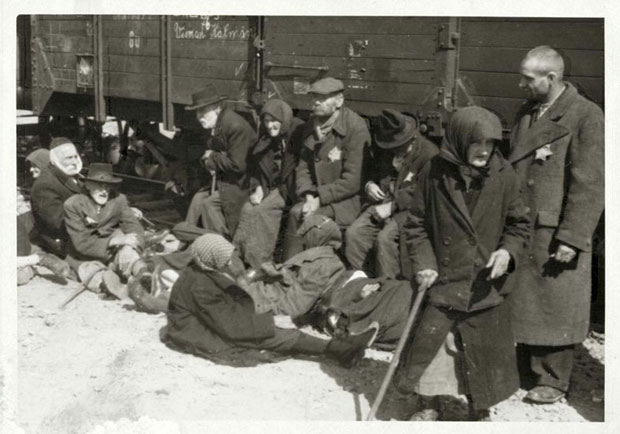 El Álbum de Lili Jacob, fotografías de Auschwitz ~ El Blog del Dolape