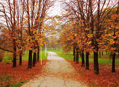 INDIA ON WHEELS - A trip for pleasure!: Kashmir In Autumn