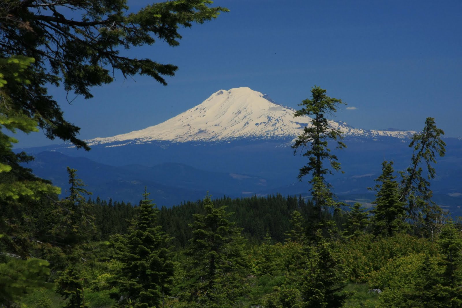 Linda's Lens: Bald Butte