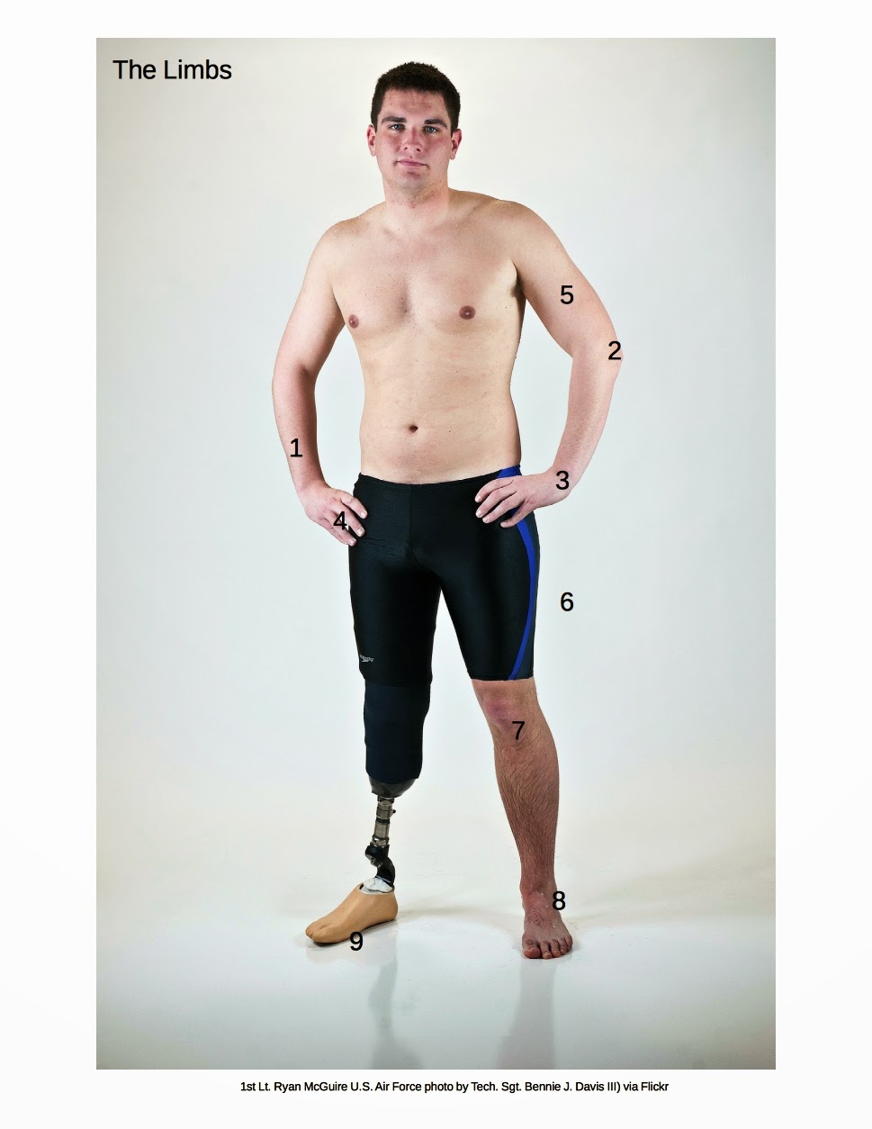 Grade 1 Body Parts Reviewer