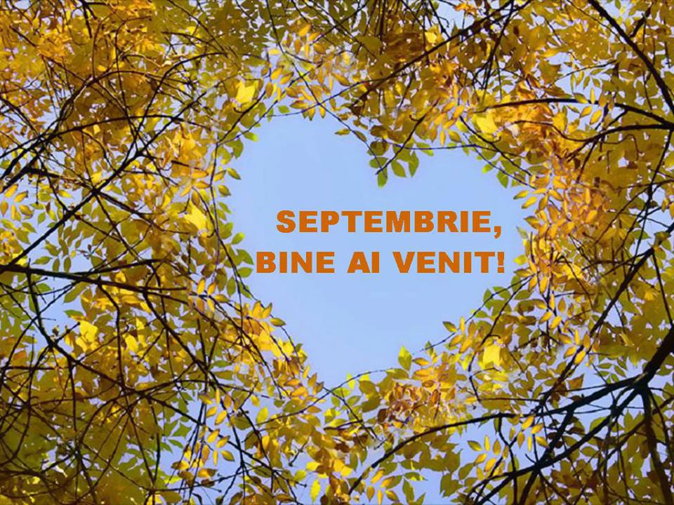 IONEL MESAROŞ-BLOG PERSONAL: Bine-ai venit SEPTEMBRIE!