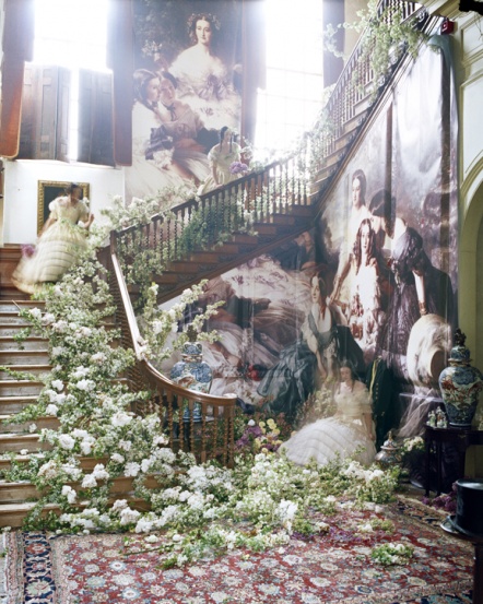 loveisspeed.......: Tim Walker photographs...İ will always love his work!