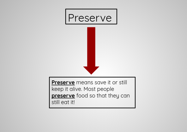 Kate @ Ruapotaka School: 2018