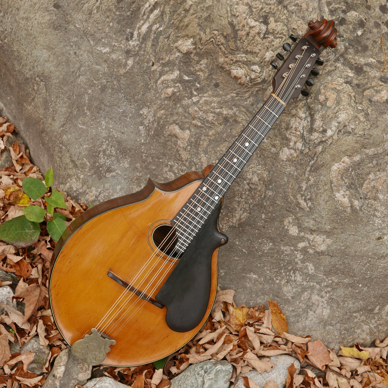 1920s Lyon & Healy Style A Carved-Top Mandola