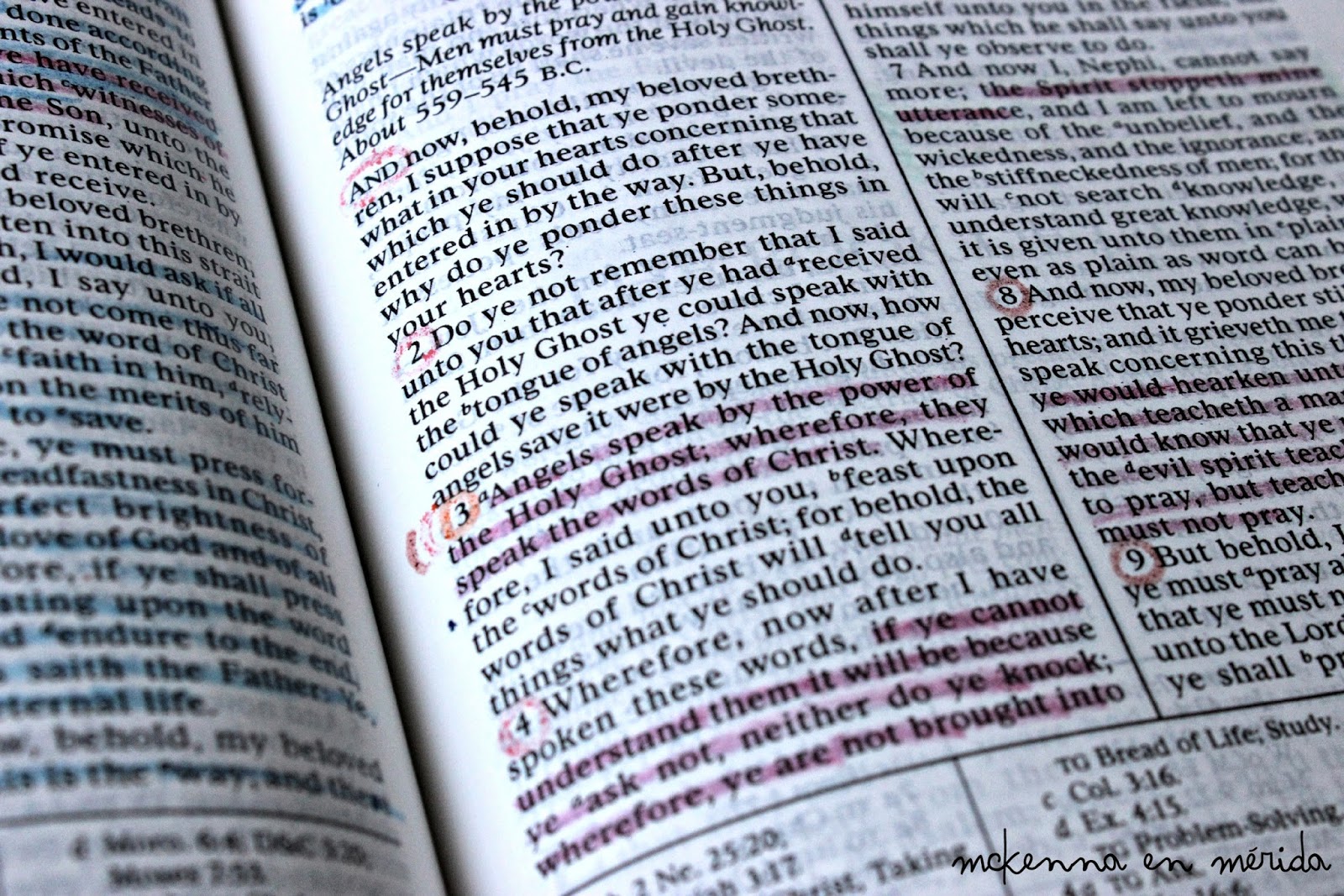 McKenna en Mérida - México Mérida Mission: Scripture Marking