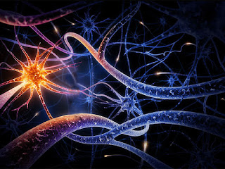 EDUCOLOGIA: NEURÓNIOS-ESPELHO