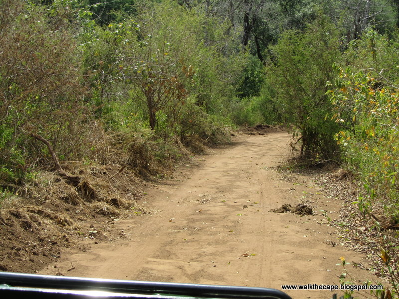 Walking the Cape: Lower Zambezi: Chongwe Falls