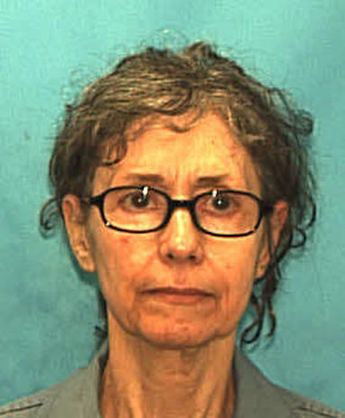 A Mother's Work - Donna Horwitz and Lanny Horwitz