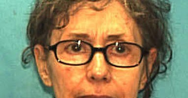 A Mother's Work - Donna Horwitz and Lanny Horwitz