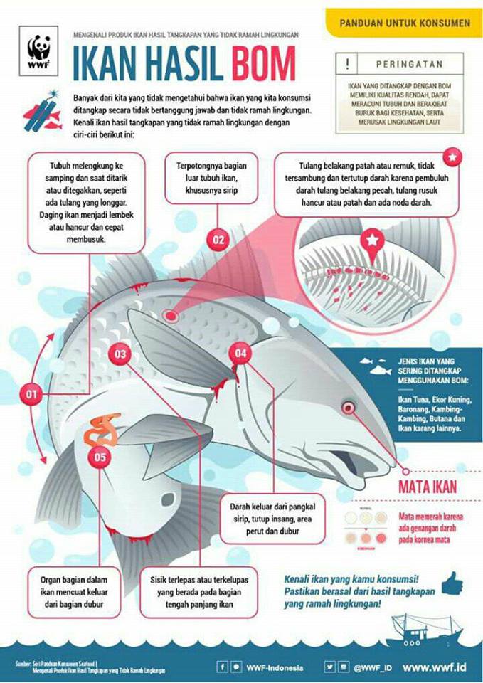balebete baunajuku: Ikan Hasil Bom