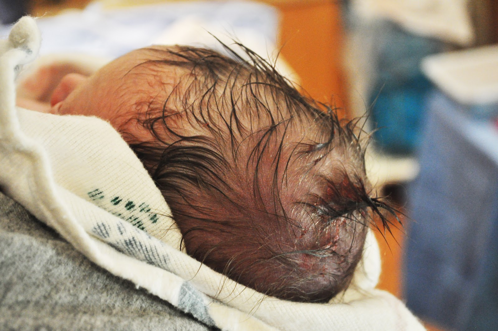 A Day in the Life of a Five Foot Mama: Bryleigh's Picture Perfect Birth ...